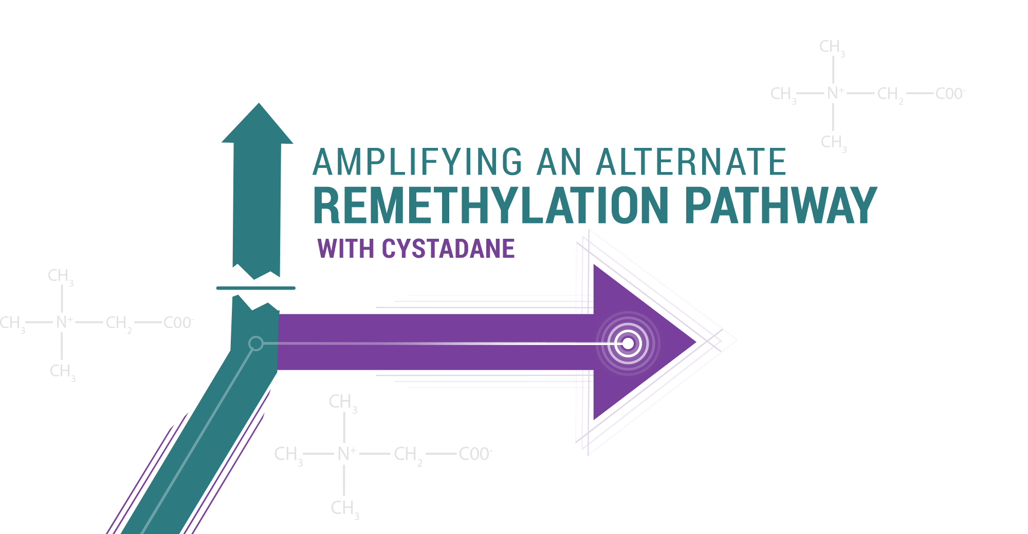 CYSTADANE for U.S. Healthcare Professionals